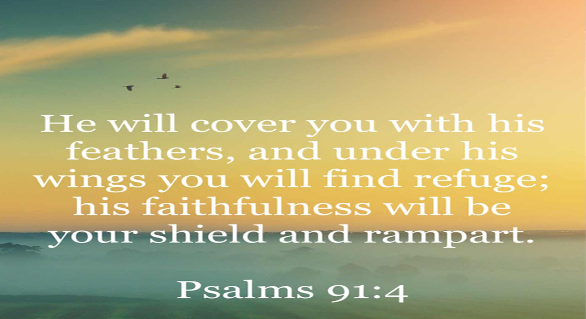 Psalm 91.4 – The Journey At First Baptist